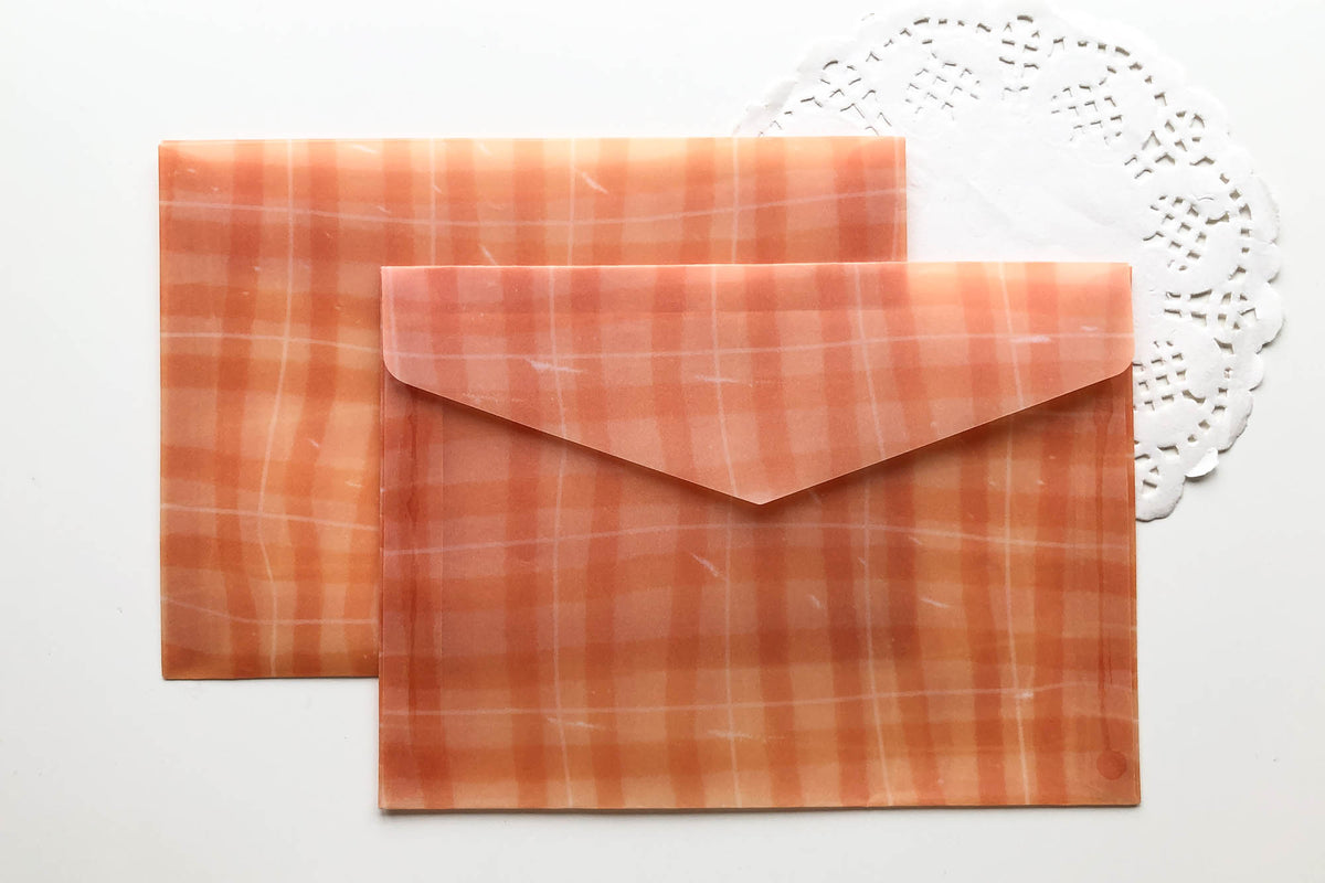 Summer Picnic Vellum Envelopes - Pack 5– Note And Wish